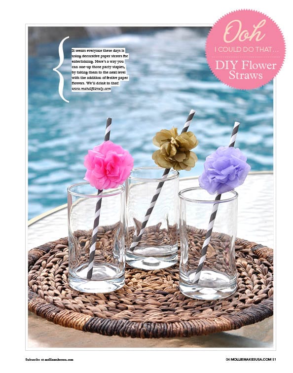 ooh_DIY straws - Make Life Lovely