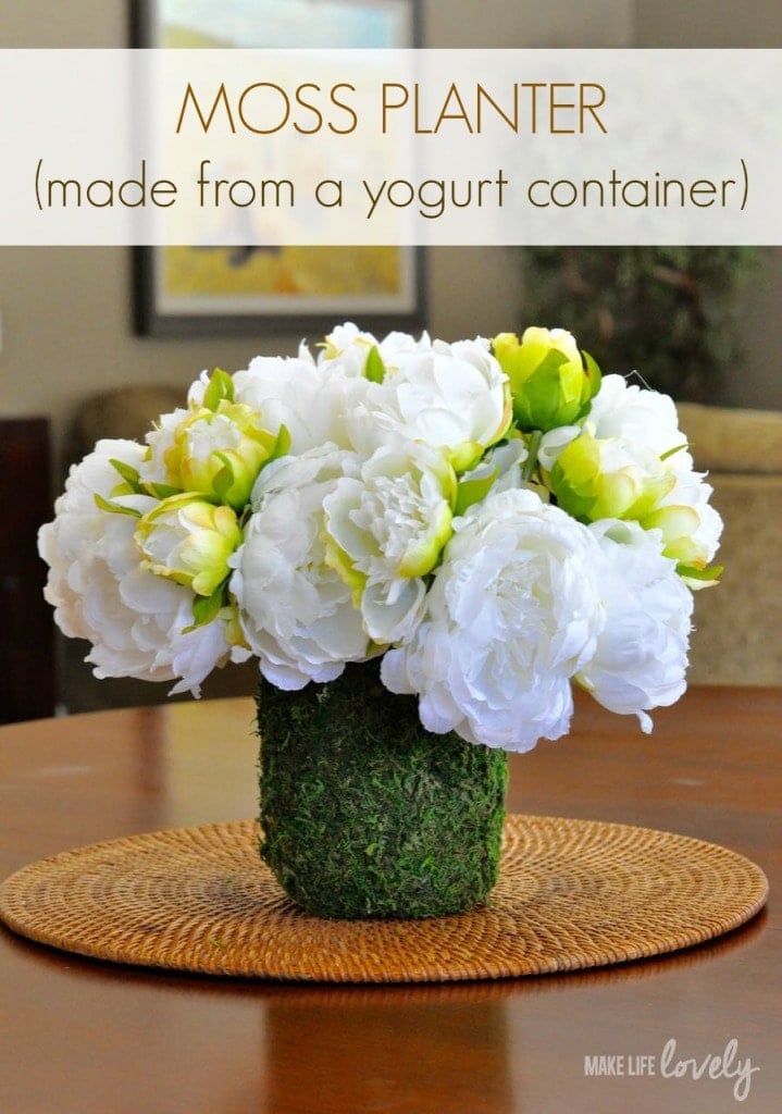 Moss Planter Recycled Craft - Make Life Lovely