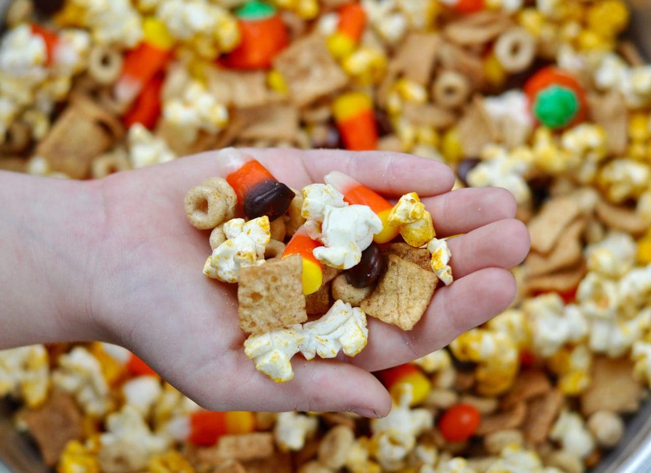 Fall Snack Mix Recipe - Make Life Lovely