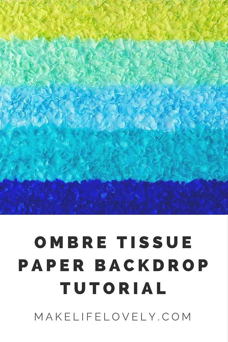 Ombre Tissue Paper Backdrop - Make Life Lovely