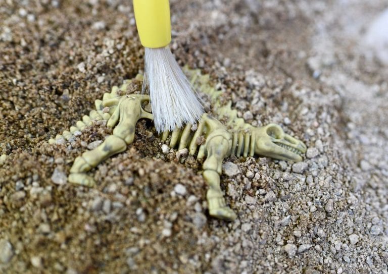 DIY Dinosaur Dig Activity For Your Dino-Loving Kids