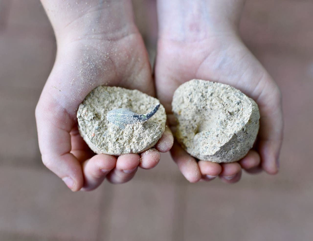 How To Make Dinosaur Eggs With A Hidden Surprise Inside 