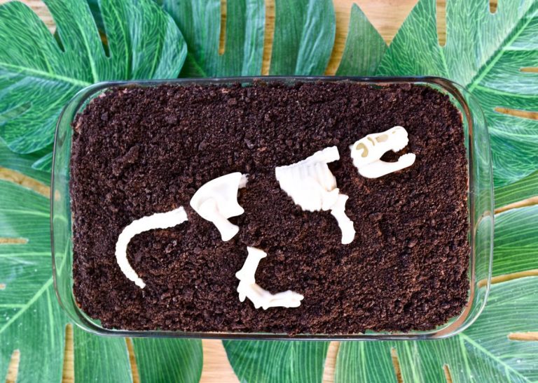 Dinosaur Dig Cake with Easy Chocolate Fossils + "Dirt"