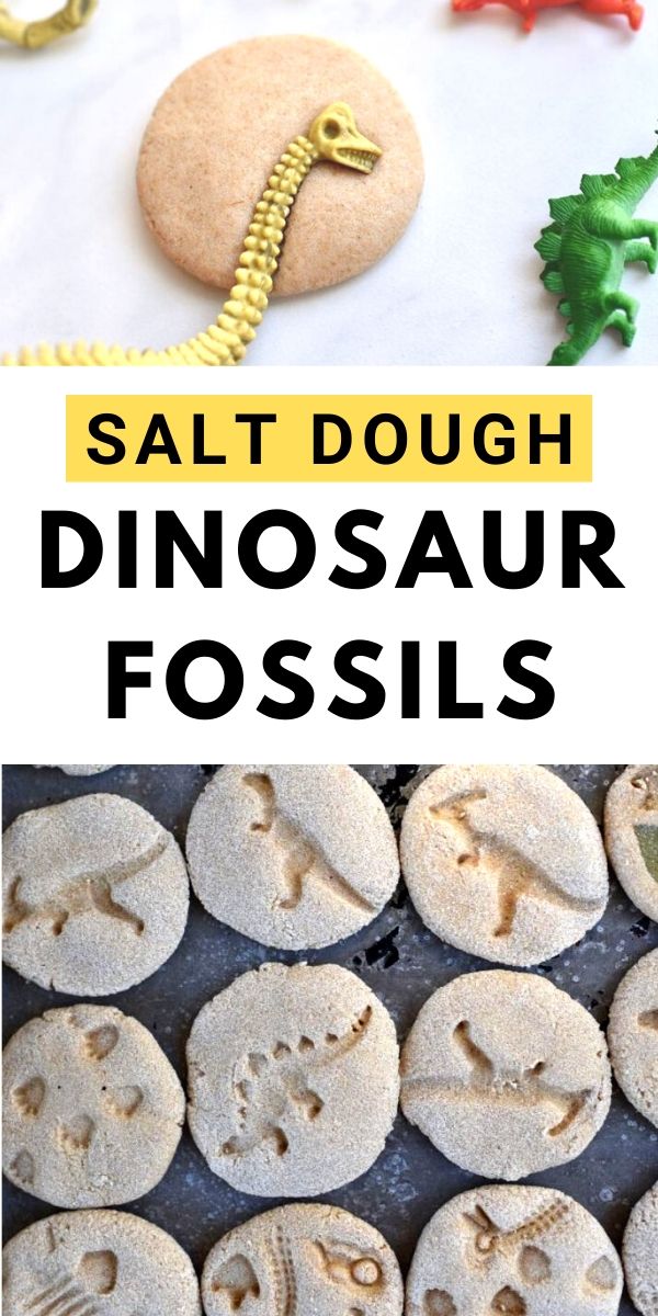 How To Make Dinosaur Fossils For Kids From Salt Dough Make Life Lovely