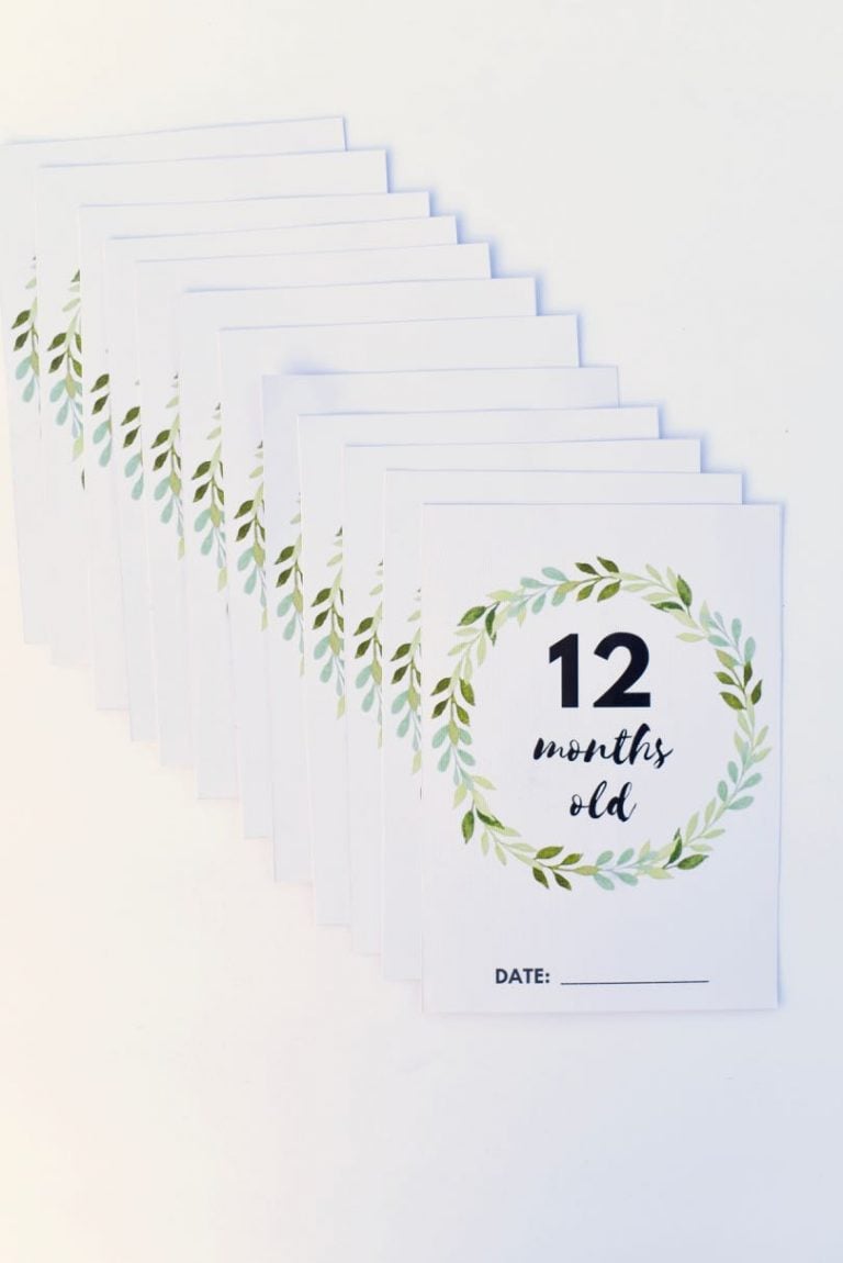 Baby Milestone Cards {Beautiful FREE Printables!}