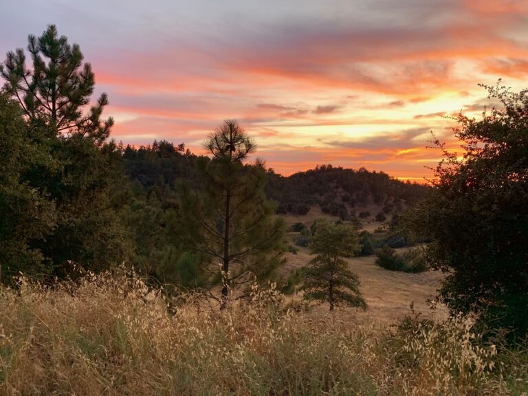 Apple and Pear Picking in Breathtaking Julian, CA - Make Life Lovely